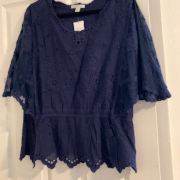 Cato | Tops | Cato Blue Flutter Sleeve Peplum Top | Poshmark